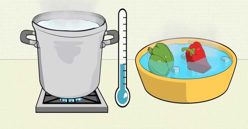 Diferentes tipos de cocción de los alimentos ¡Domínalas!
